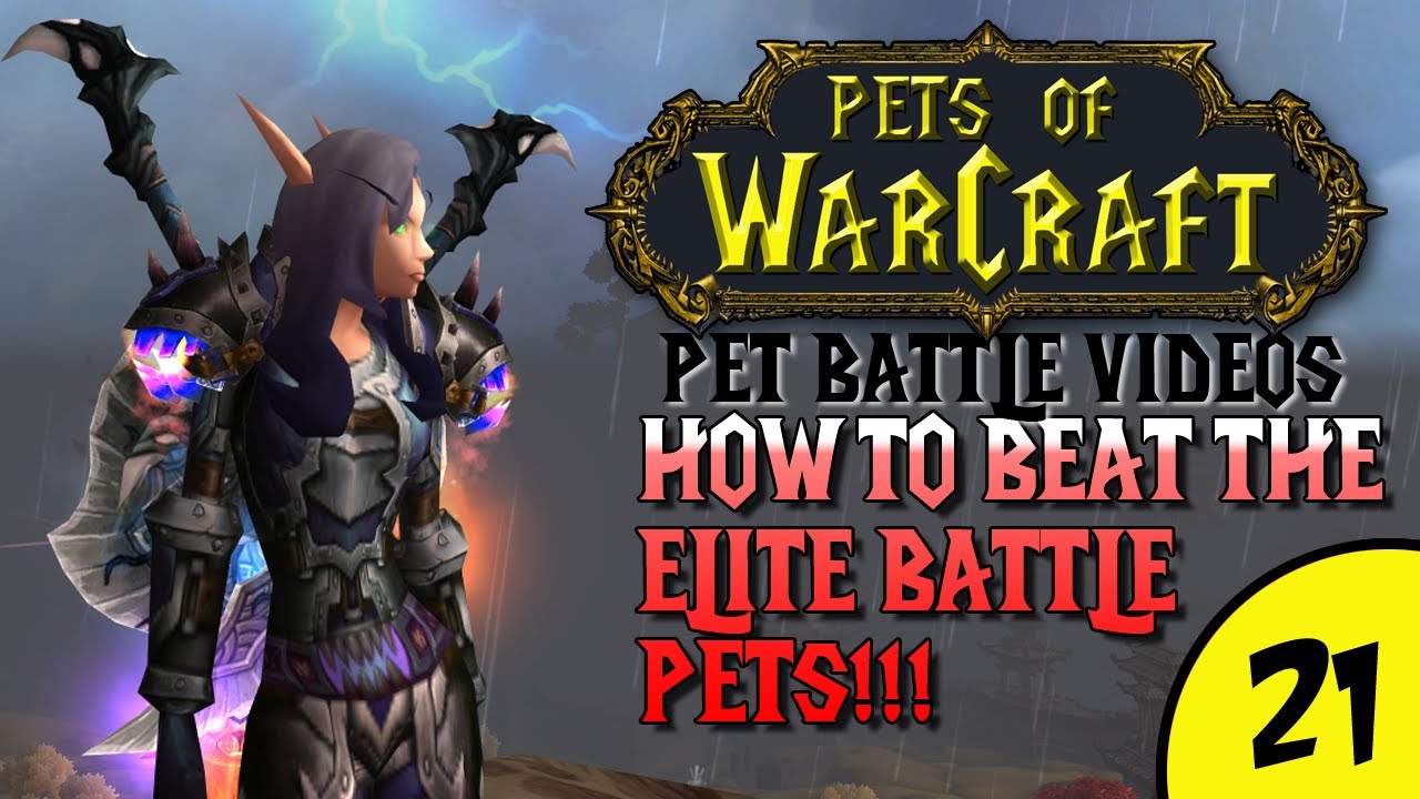 Pets of Warcraft Video 21 - How to beat Beasts of Fable Elite Battle ...