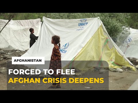 Afghan displacement crisis deepens: Pakistan strikes, thousands forced into camps