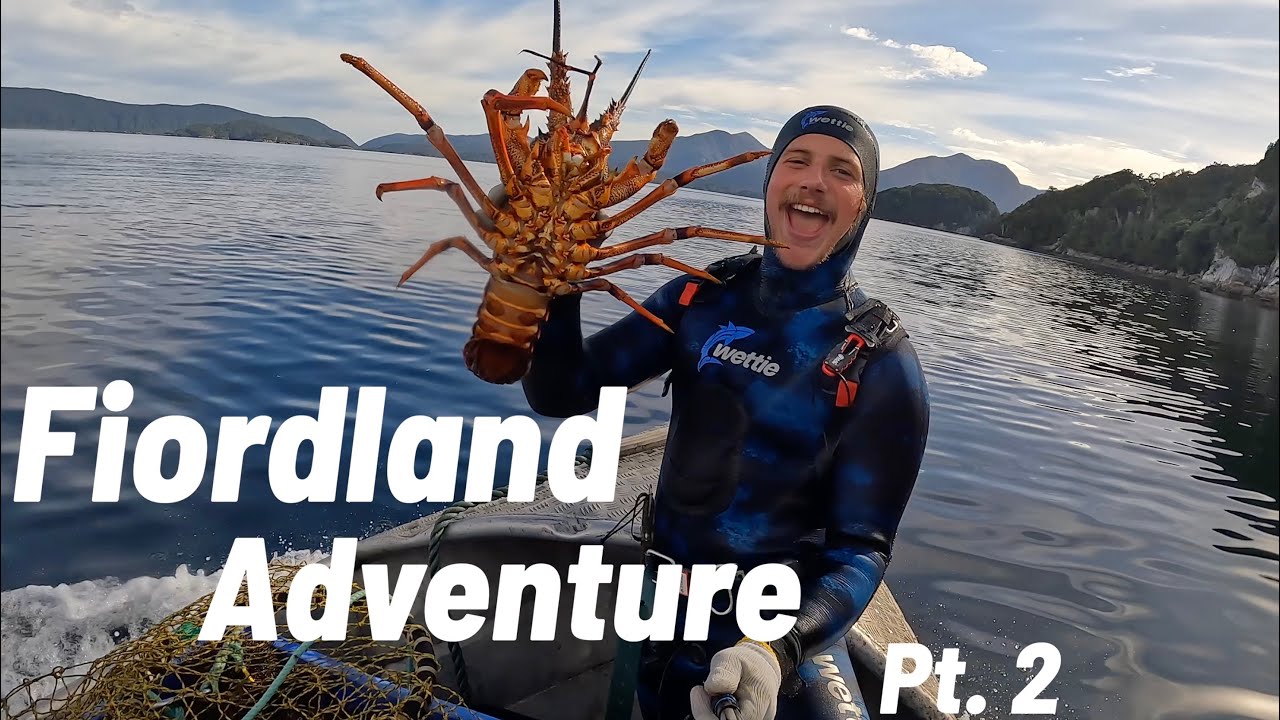 Fiordland Adventure Continues , Catching Big Crays and Kina, Pt .2 ...