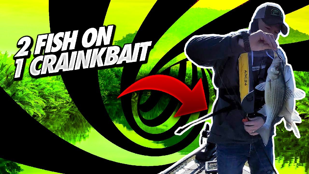 Catching Sand Bass At Keystone Lake - The Easy Way! - YouTube