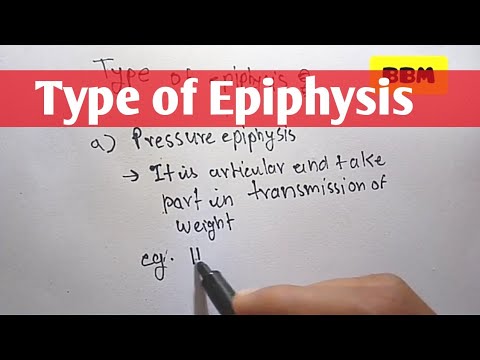 Types of epiphysis | General Anatomy | Anatomy - YouTube