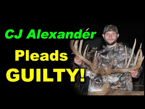 CJ Alexander Pleads Guilty #alexanderbuck #ohiobuck - YouTube