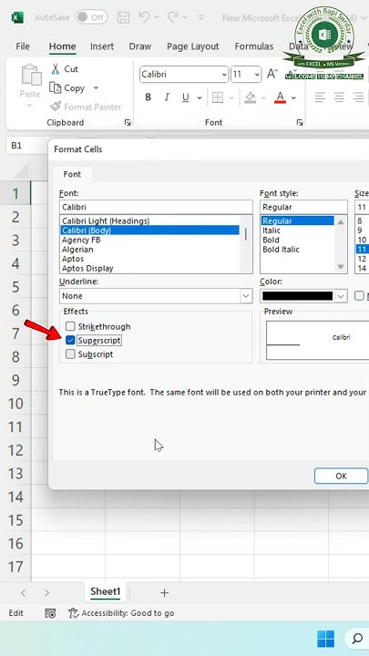 SUPERSCRIPT 🔥 ||💥EXCEL SHORTCUTS 🗝️ || Excel tutorial for beginners 💯 || #excelwithbapisardar ...