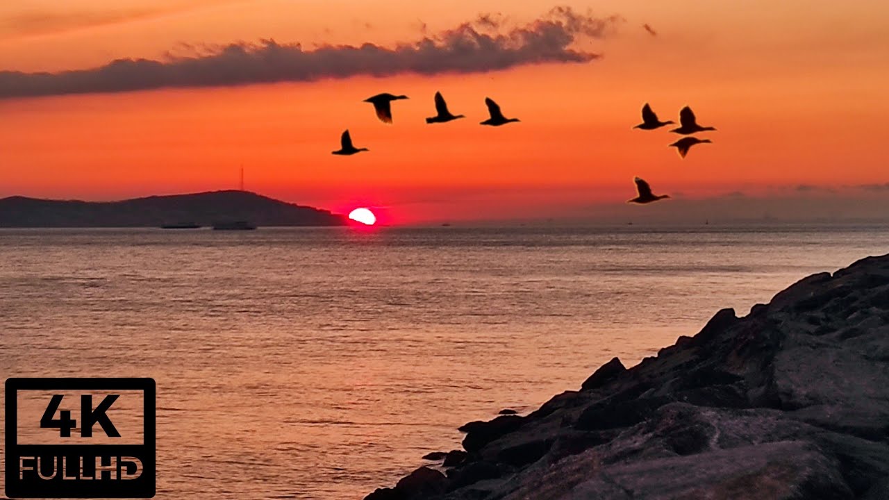 Relaxing sunset video | 30 min of Fascinating Sunset with Calming Waves ...