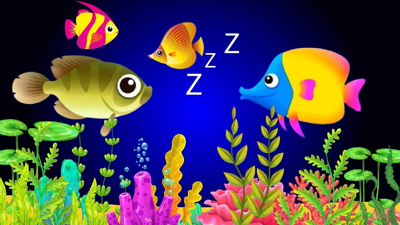 Bedtime Lullabies and Calming Undersea Animation, Baby Lullaby ...