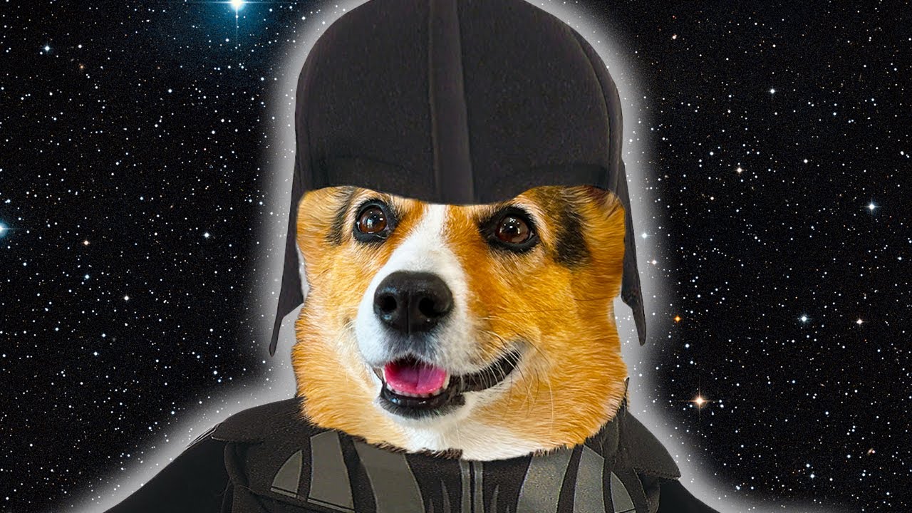 CORGI JOINS THE DARKSIDE | Hammy & Olivia - YouTube