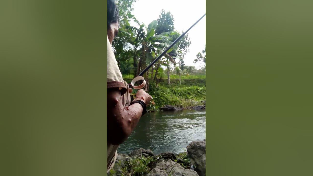 Mancing ikan wader di kali... - YouTube