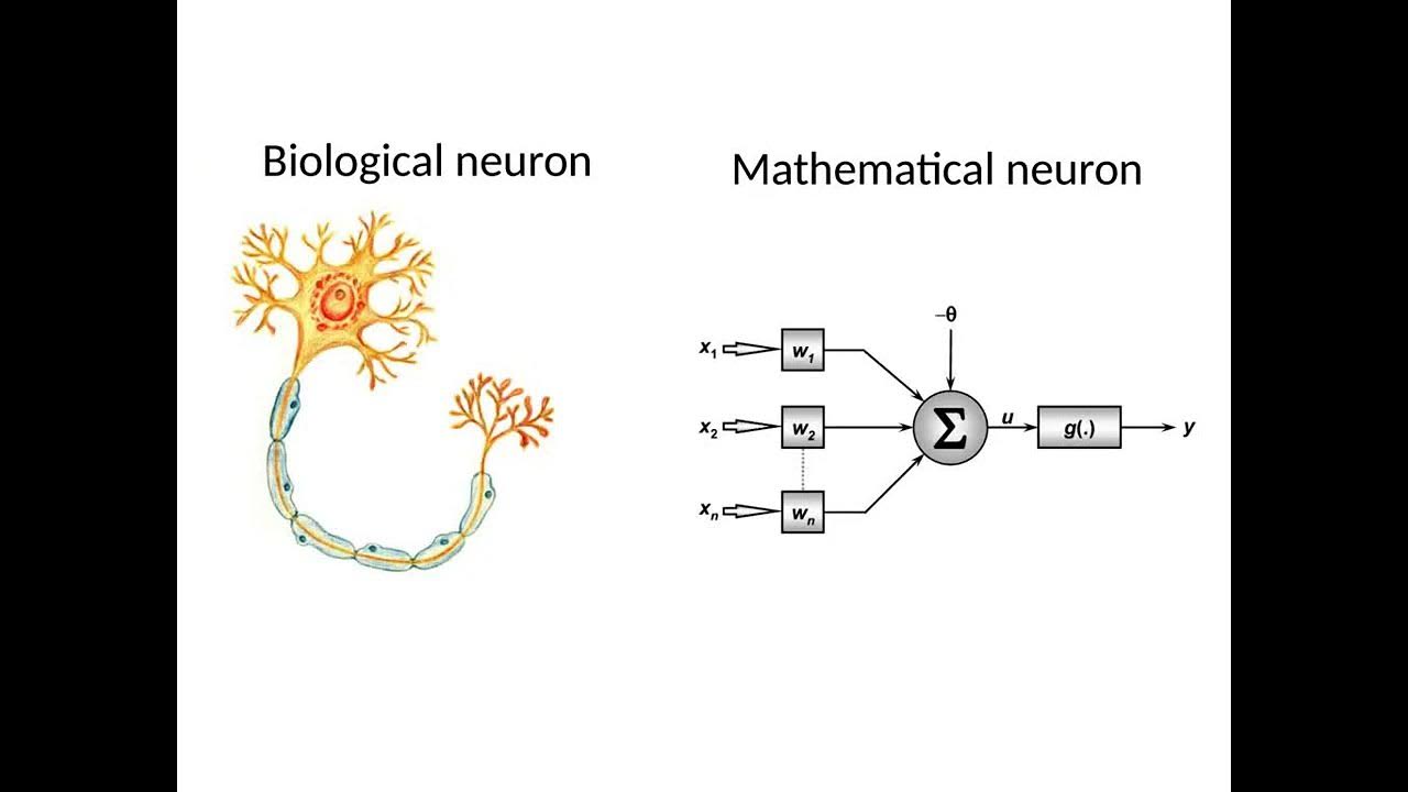 Neural Networks Configuration Back Propagation Values Method - YouTube