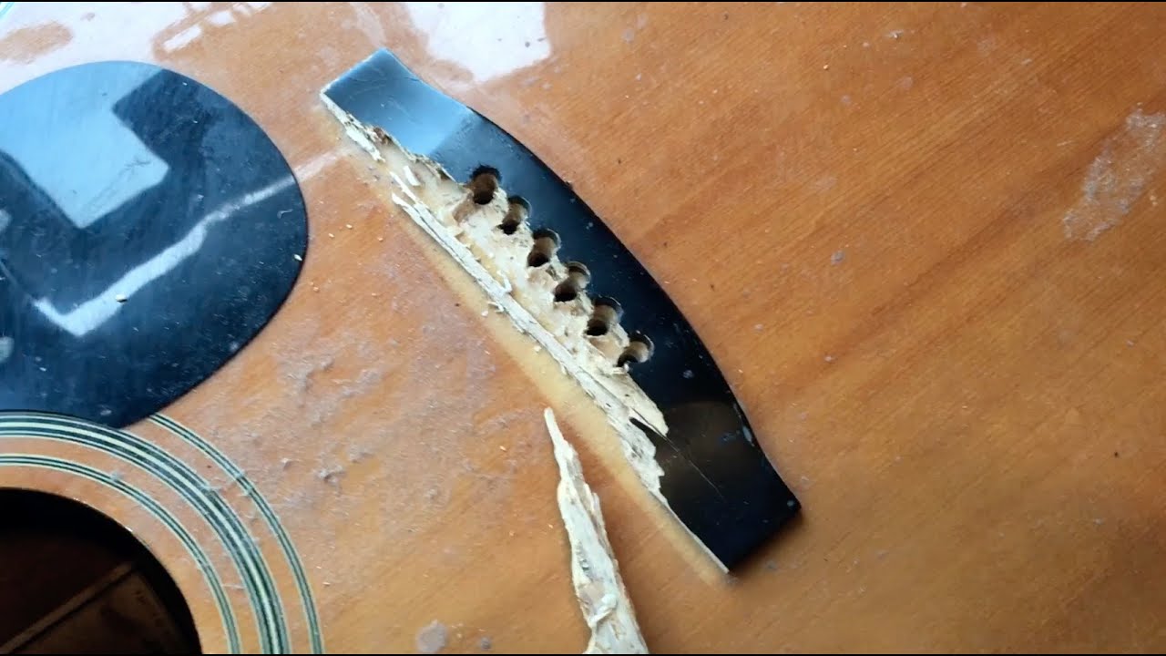 Tanglewood TW400N Crushed Bridge and other issues plus more juicy ...