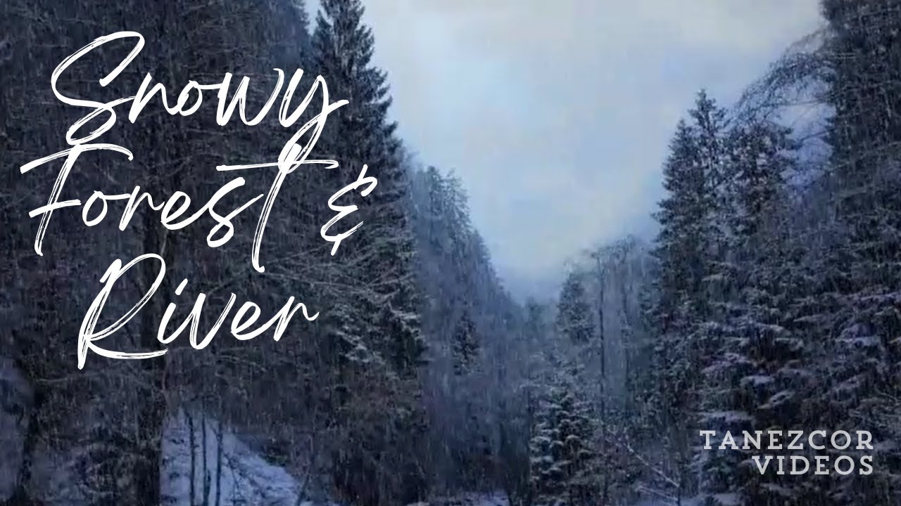 Quality Deep Sleep ASMR: Snowy River and Forest Winter Sounds Can Help ...
