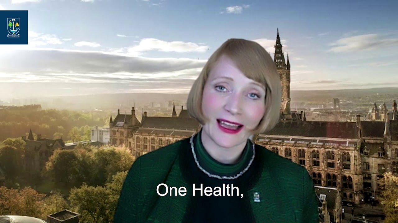 BMI Scholarship Summit Video Message from Rachel Sandison - YouTube