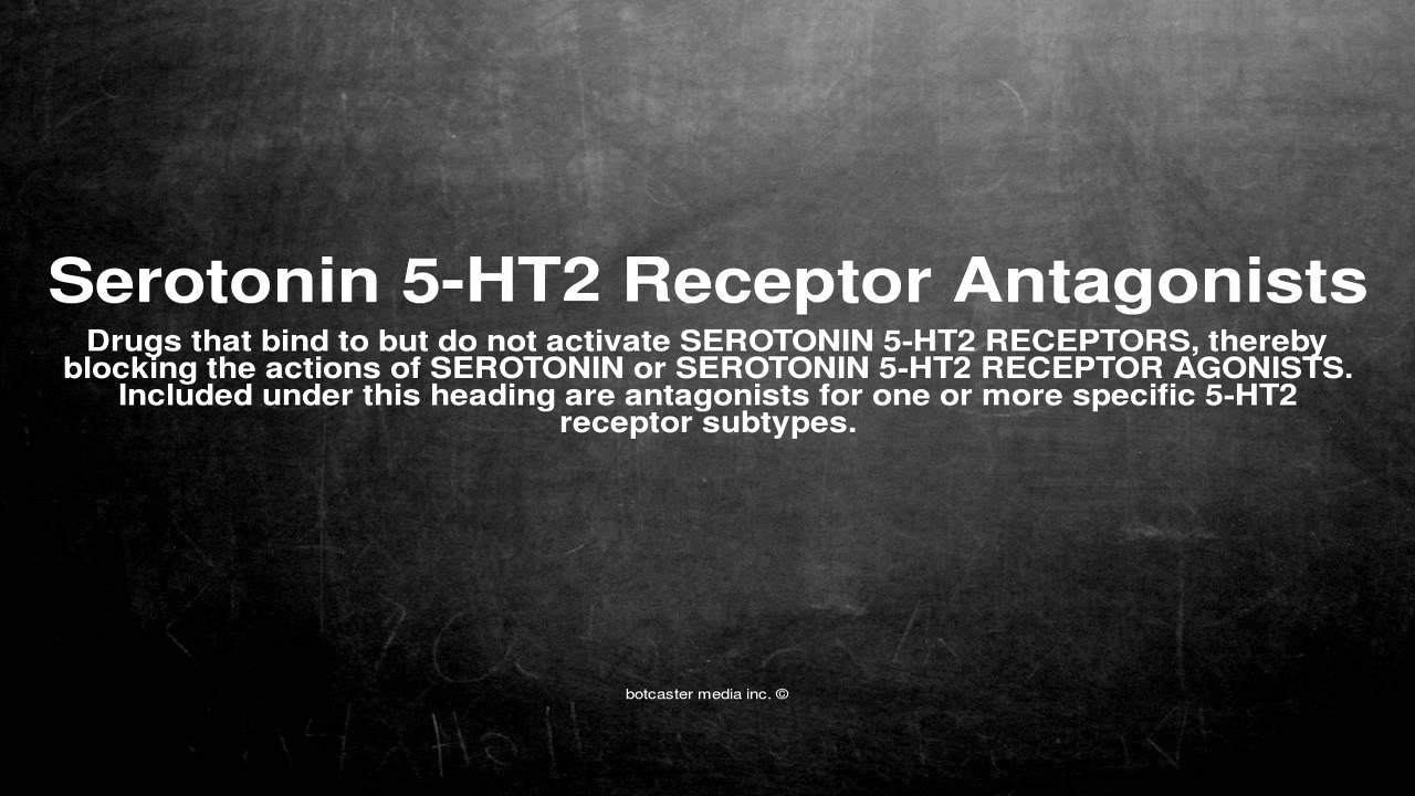 Medical vocabulary: What does Serotonin 5-HT2 Receptor Antagonists mean ...
