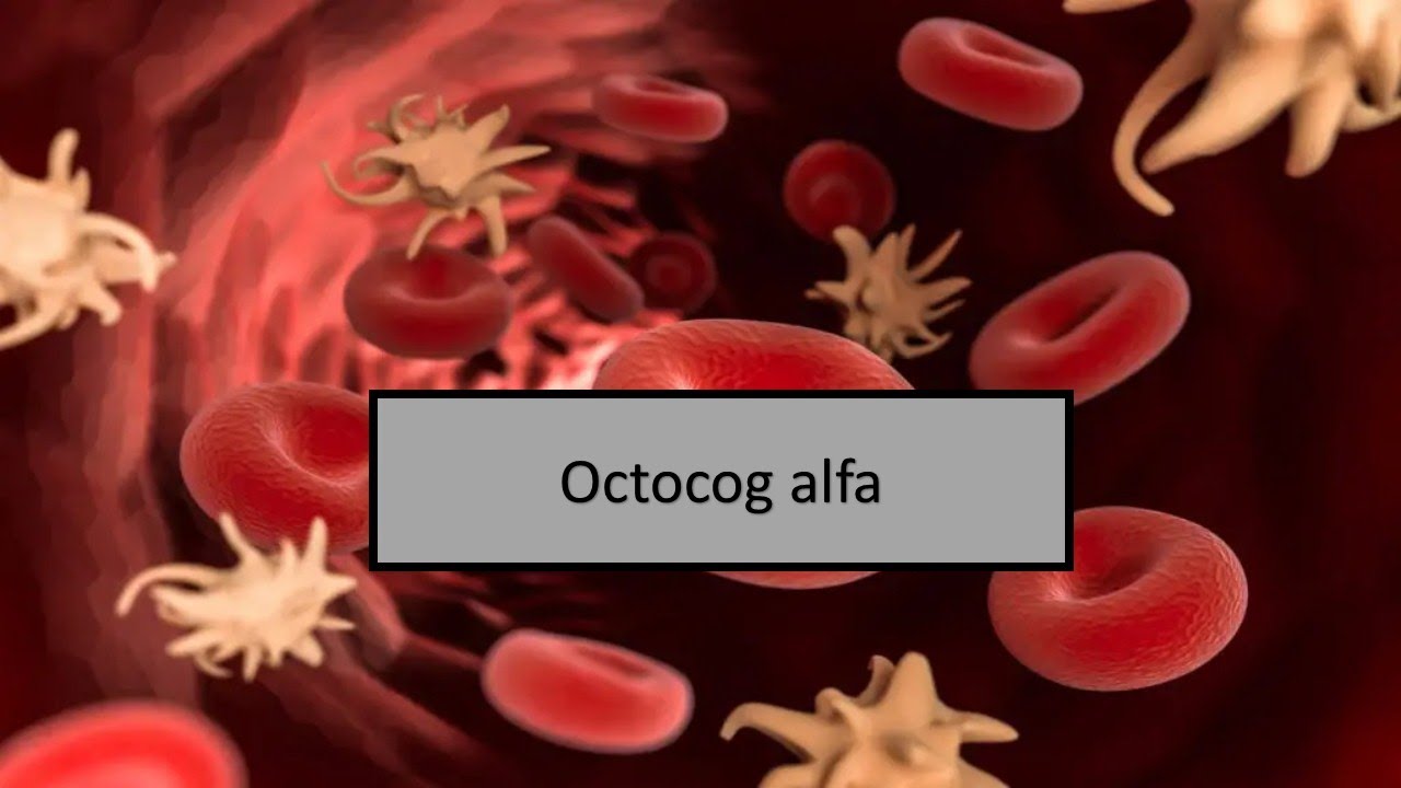 les médicaments hématologie et hémostase "Octocog alfa ". - YouTube