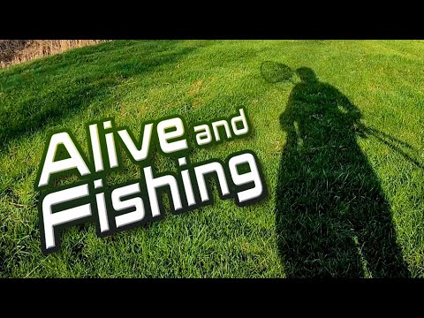 Alive & Fishing - YouTube