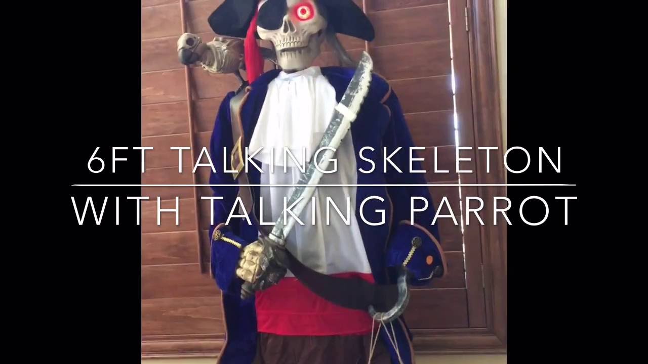 6ft Talking Pirate Skeleton With Taking Parrot I - YouTube