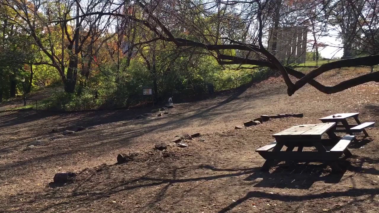 Sir William Dog Run at Fort Tryon Park - YouTube