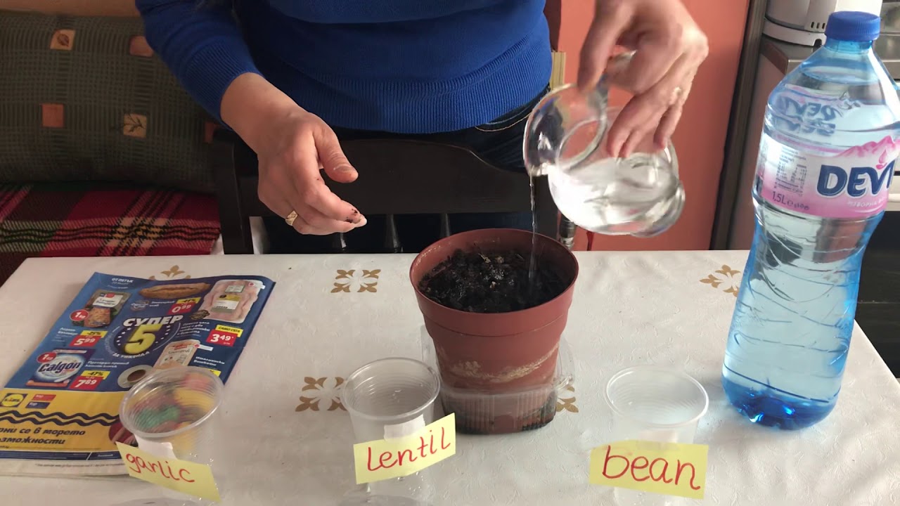 CC - Growing plants - YouTube