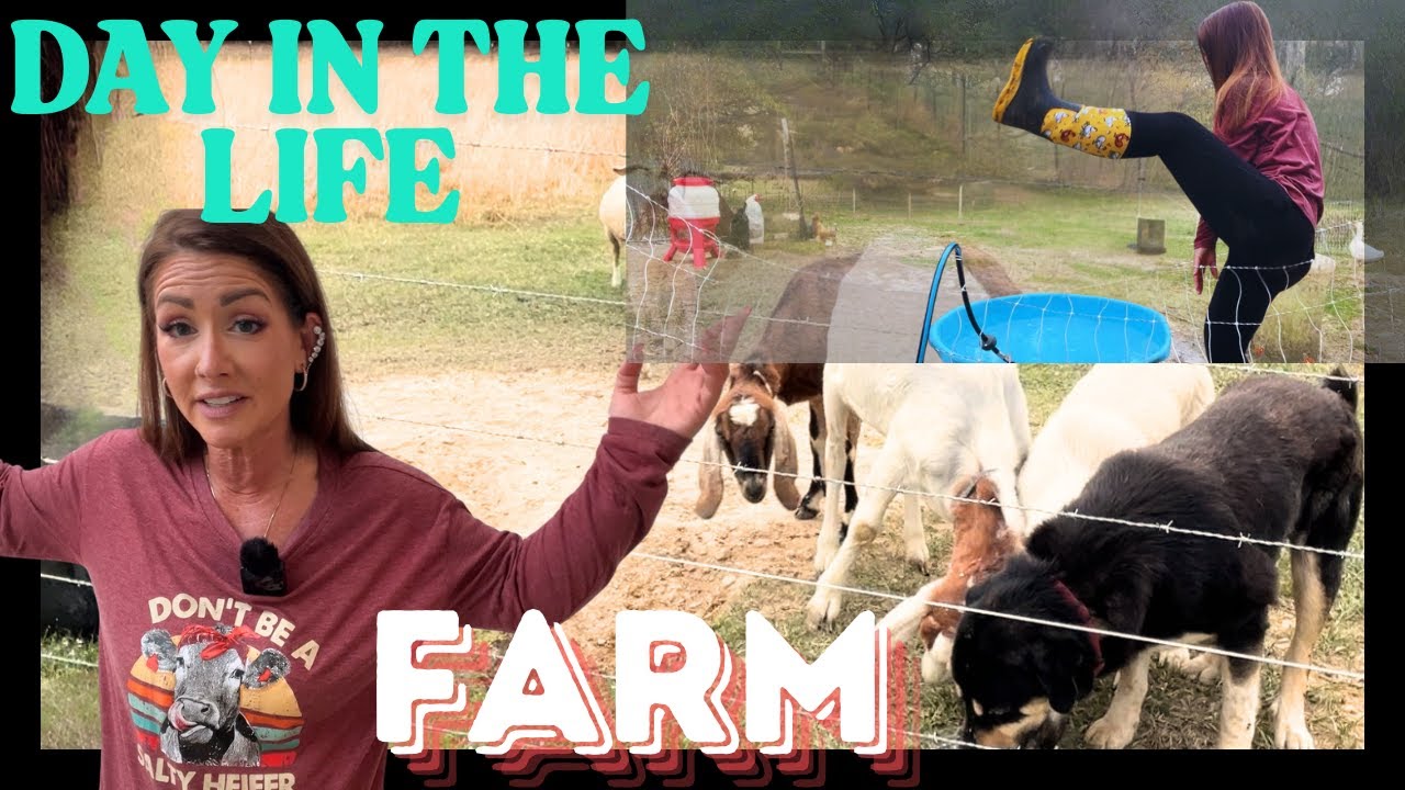 All In A Day's Work | Day In The Life On The Farm - YouTube