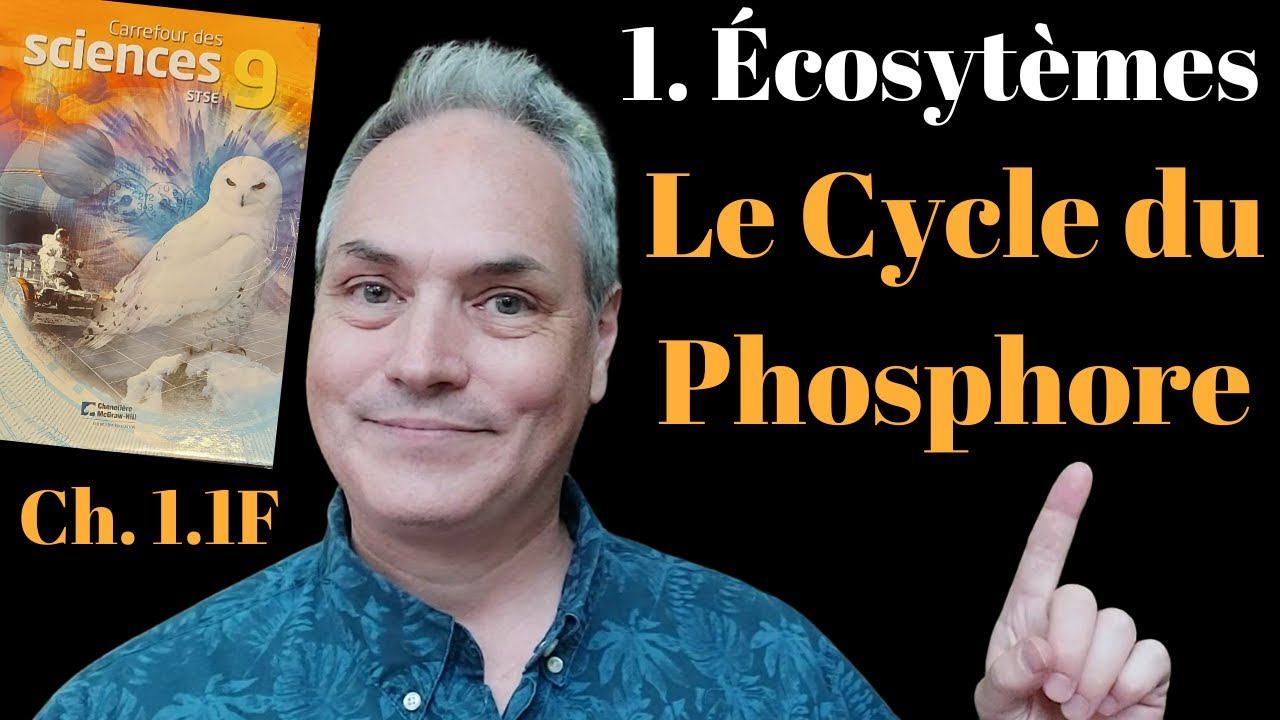 Qu'est-ce que le cycle du Phosphore? Section 1.1 F - Carrefour des ...
