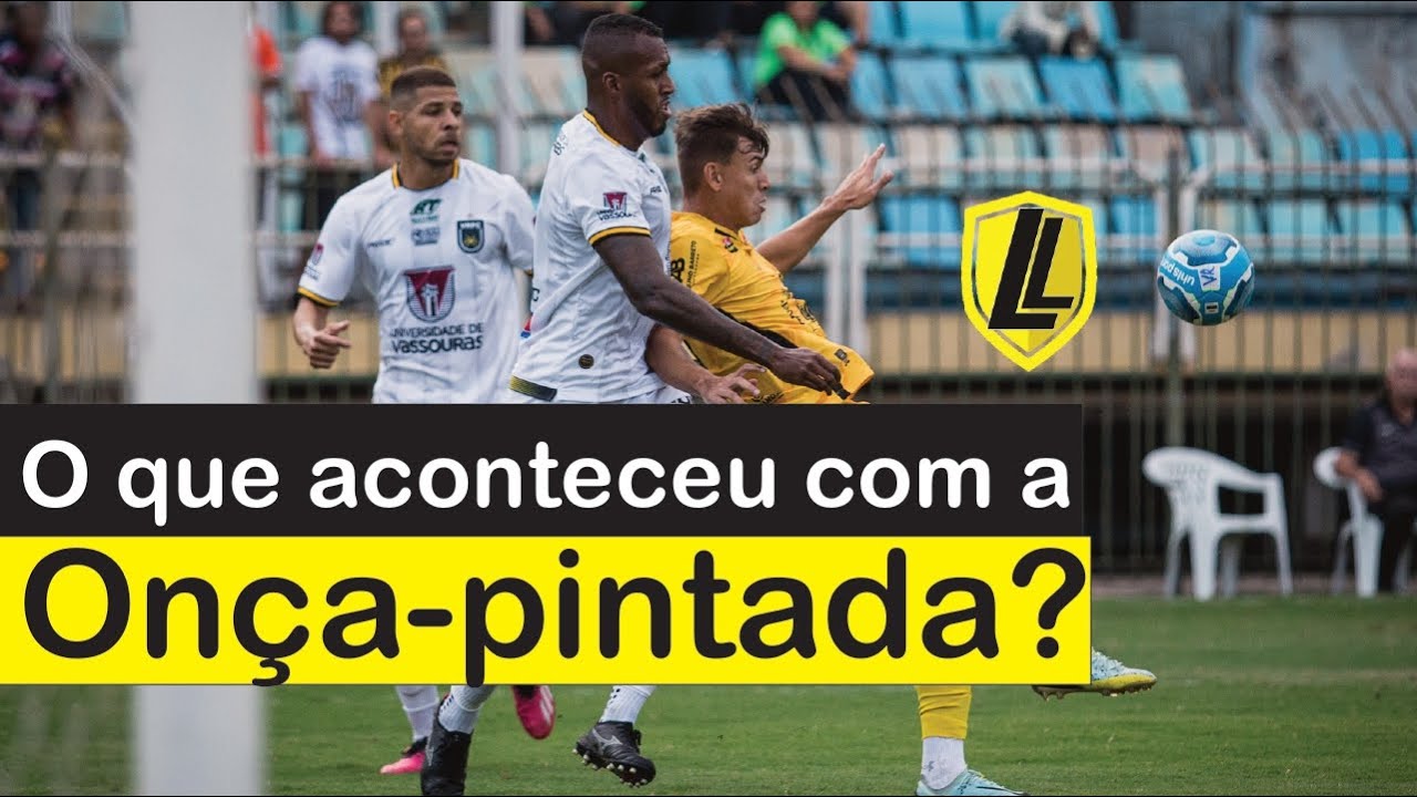 Série C: O que aconteceu com a Onça-pintada? - YouTube