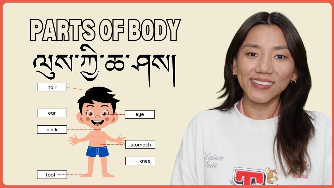 LEARN PARTS OF THE BODY | HUMAN BODY VOCABULARY | ལུས་ཀྱི་ཆ་ཤས། - YouTube