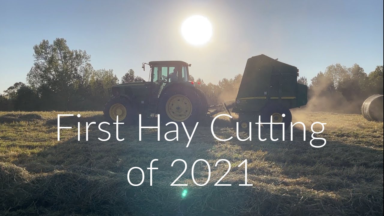 First Hay Cutting of 2021 | Gotta Get It Cut, Baled and Wrapped Before ...