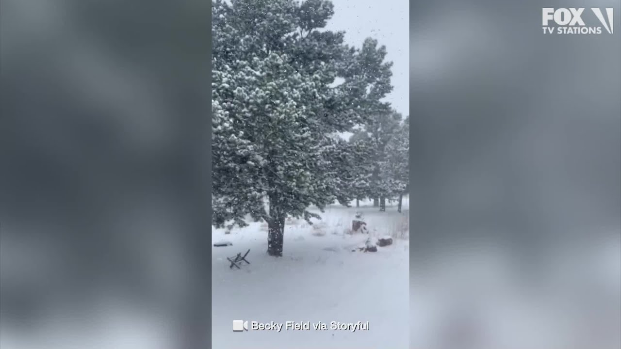 Wind blows powdery snow in eastern Arizona town - YouTube
