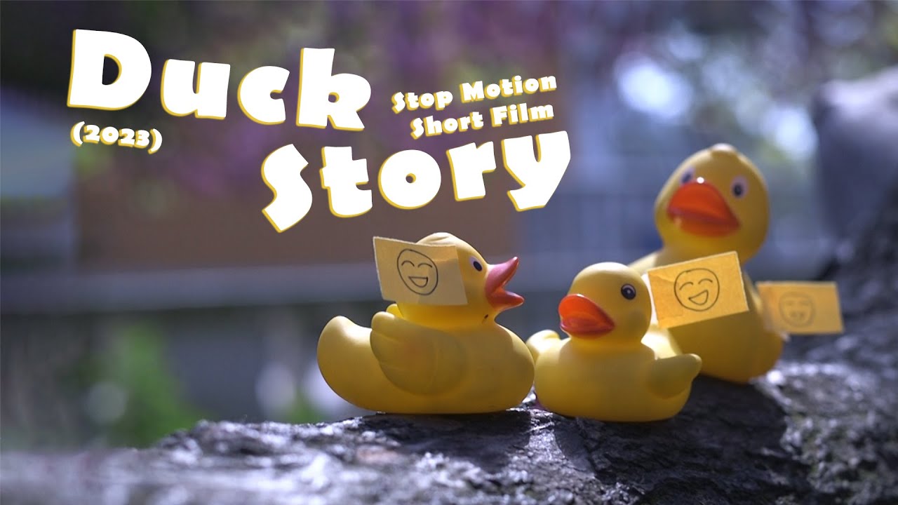 Duck Story (Stop-motion Animation) - YouTube