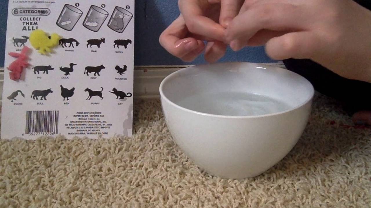 Growing Capsules (Farm Animals) Part One - YouTube