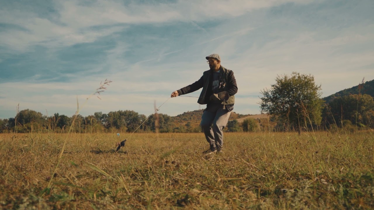 Lure training falcon in slow motion (Falconry Macedonia) - YouTube