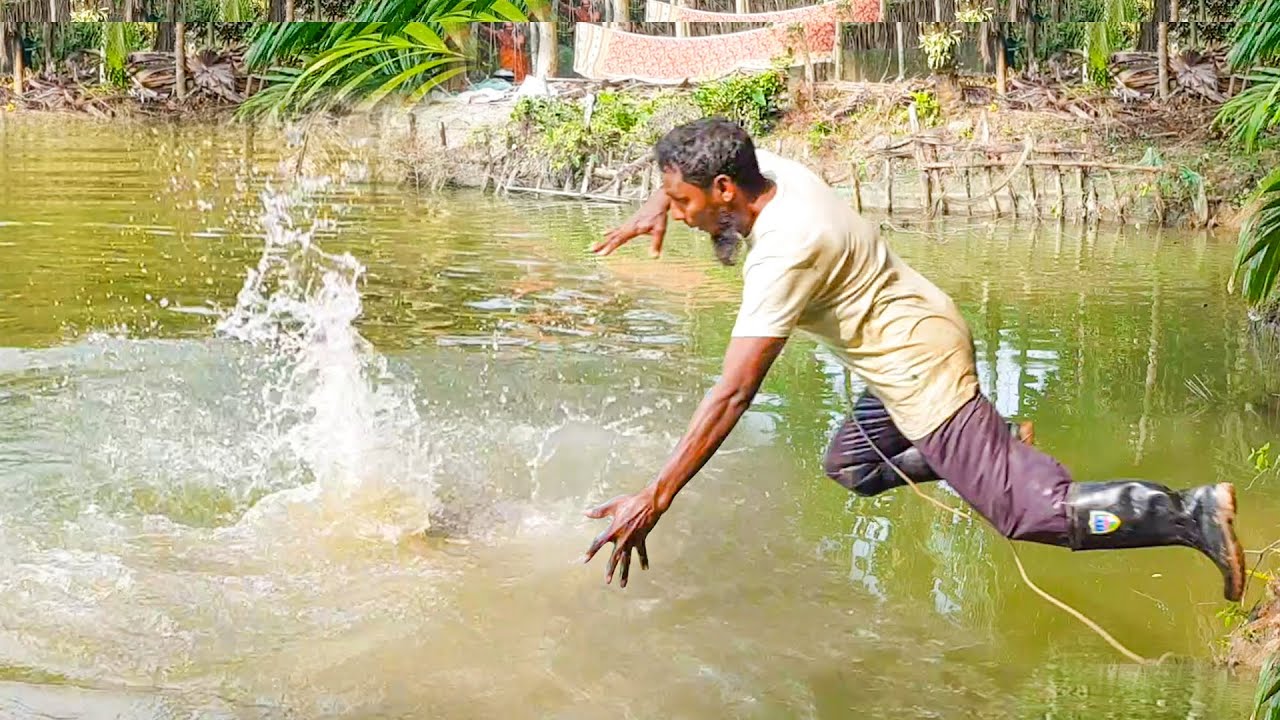 Many Big Fish Are Getting Trapped In The Net || Huge Fish Catching By ...