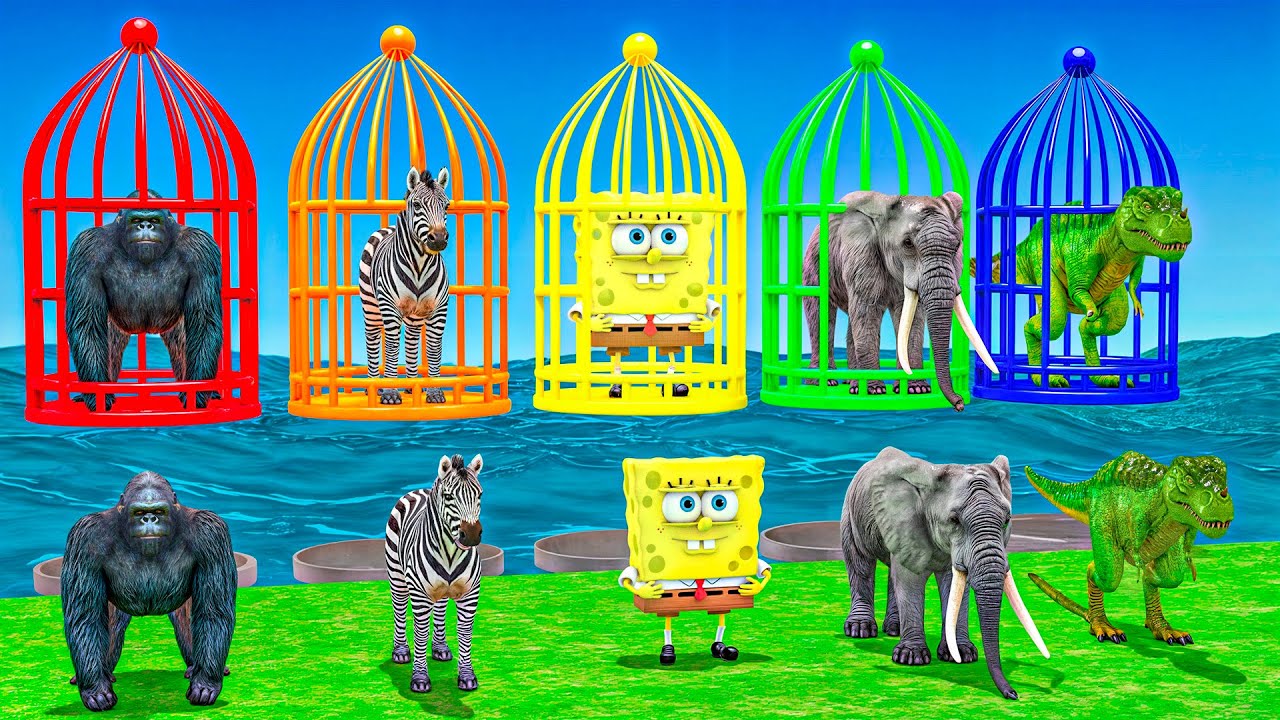 Elephant Lion SpongeBob Tiger Gorilla 3d Animal Long Slide Game Funny ...