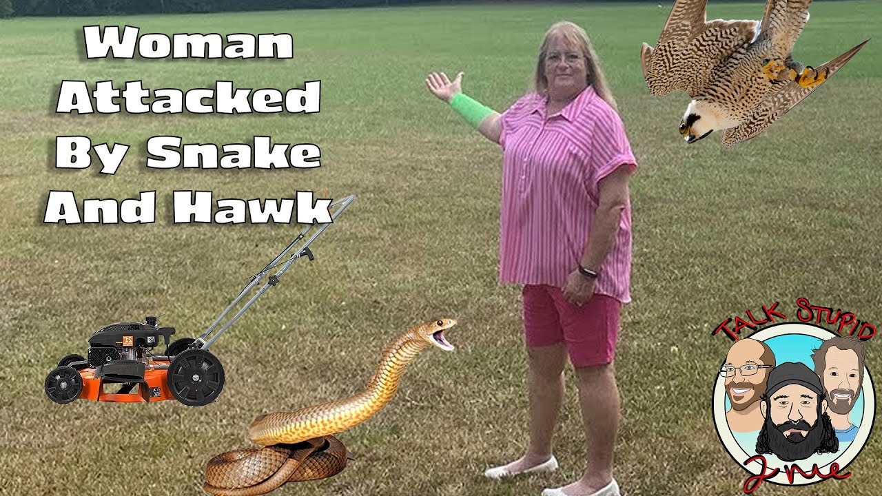 Silsbee Texas Woman Was Attacked By A Snake And Hawk At The Same Time ...
