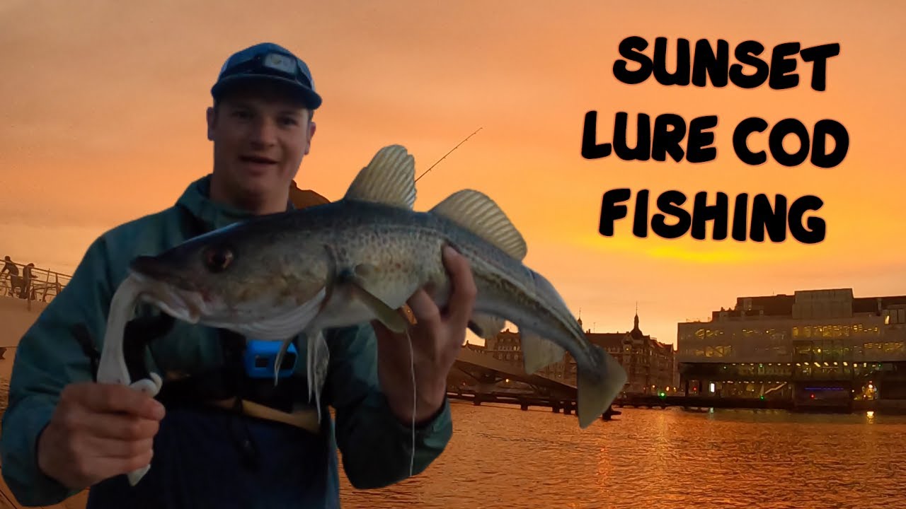 COD FISHING WITH BASS LURES IN COPENHAGEN | USING BASS LURES TO CATCH ...