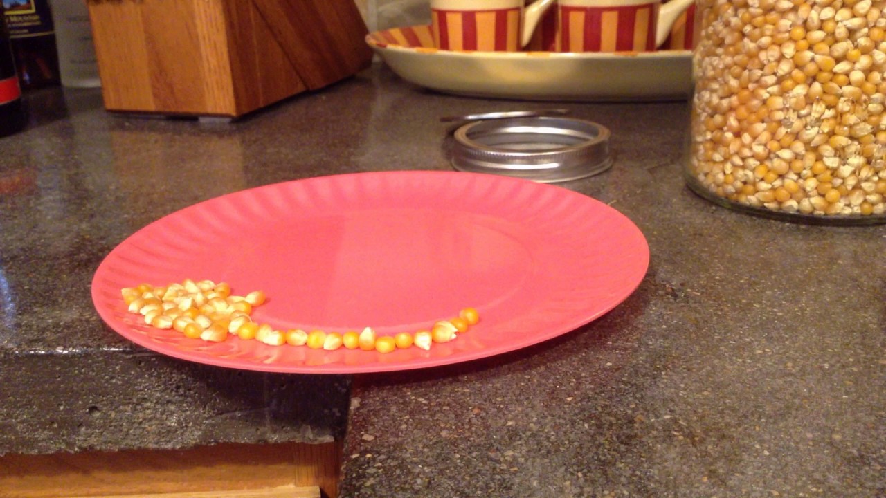 My Magic Corn - YouTube