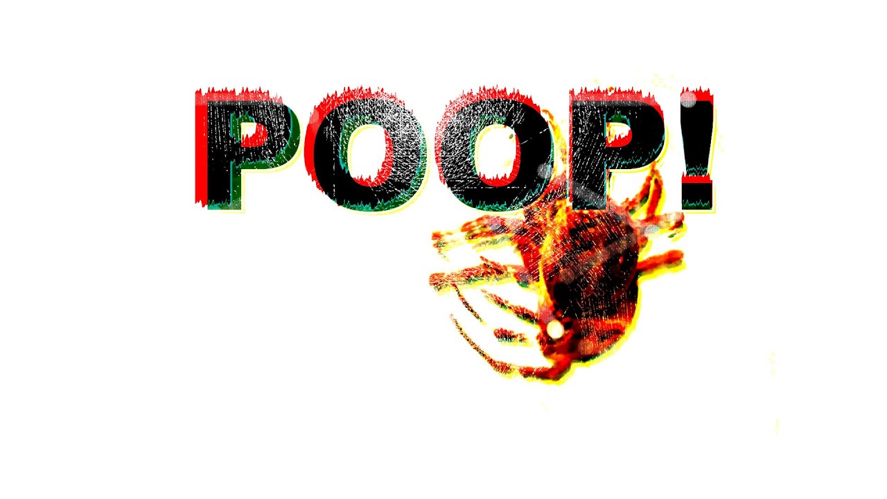 Yes. Spiders Poop. - YouTube