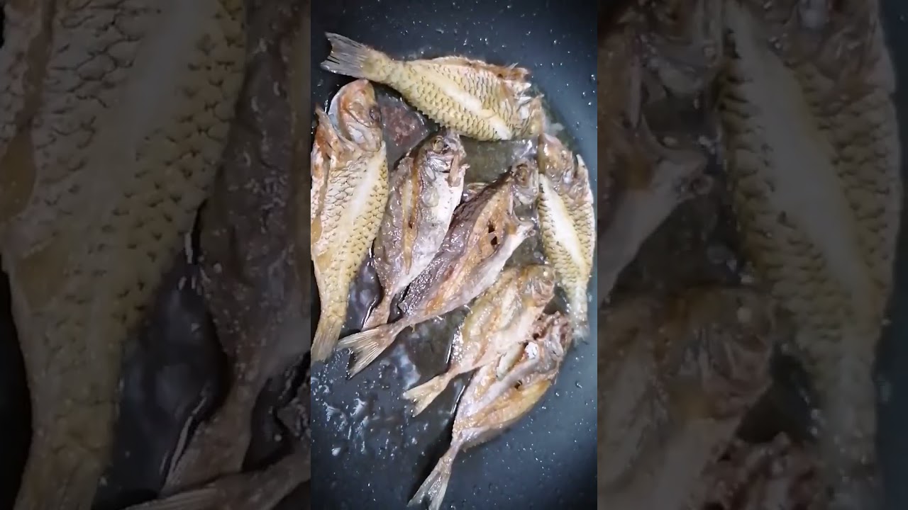 Rabbitfish Catch and Cook - YouTube