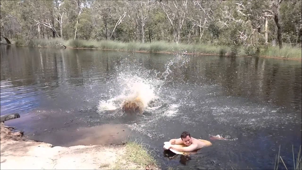Rope Swing Fail - YouTube