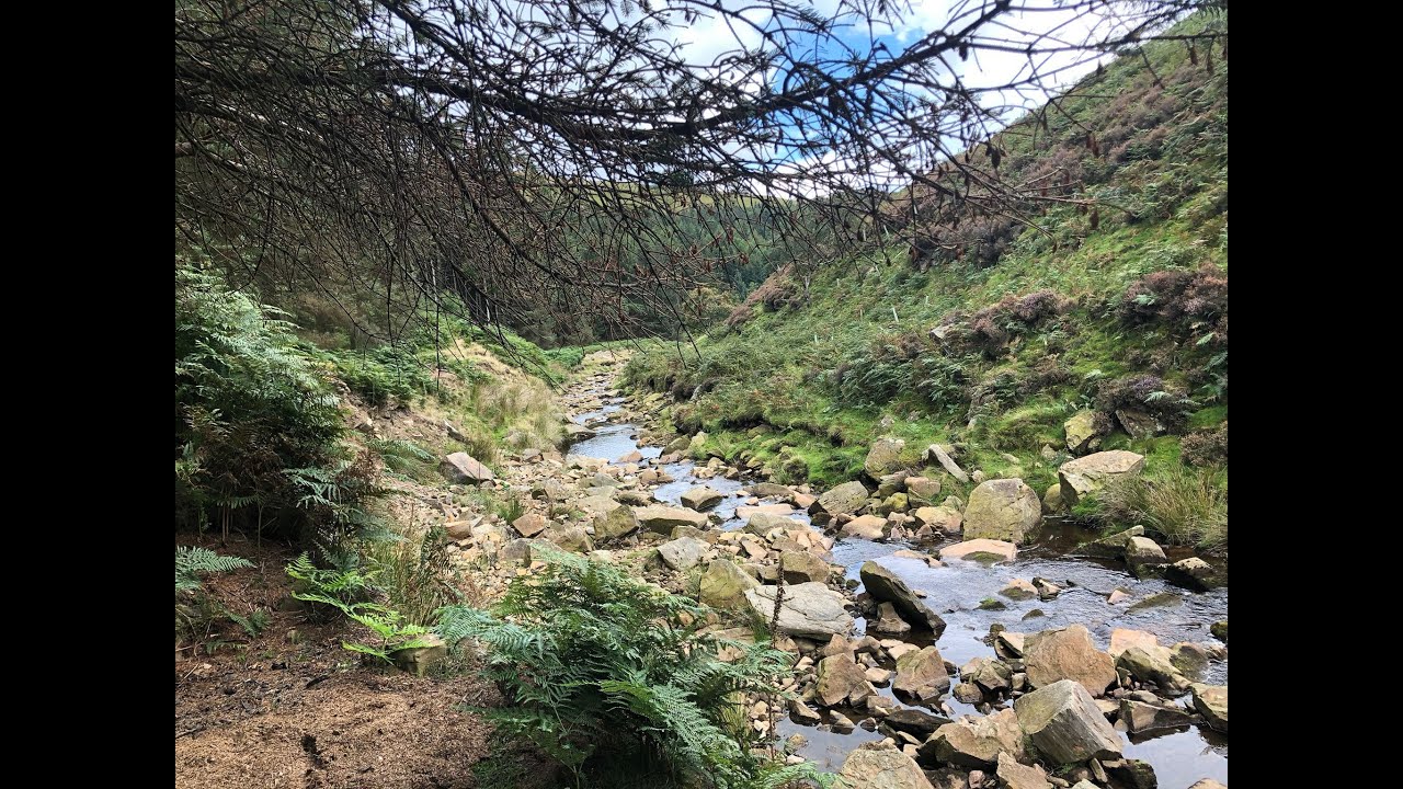 Snake pass Woodland Wild camp - YouTube