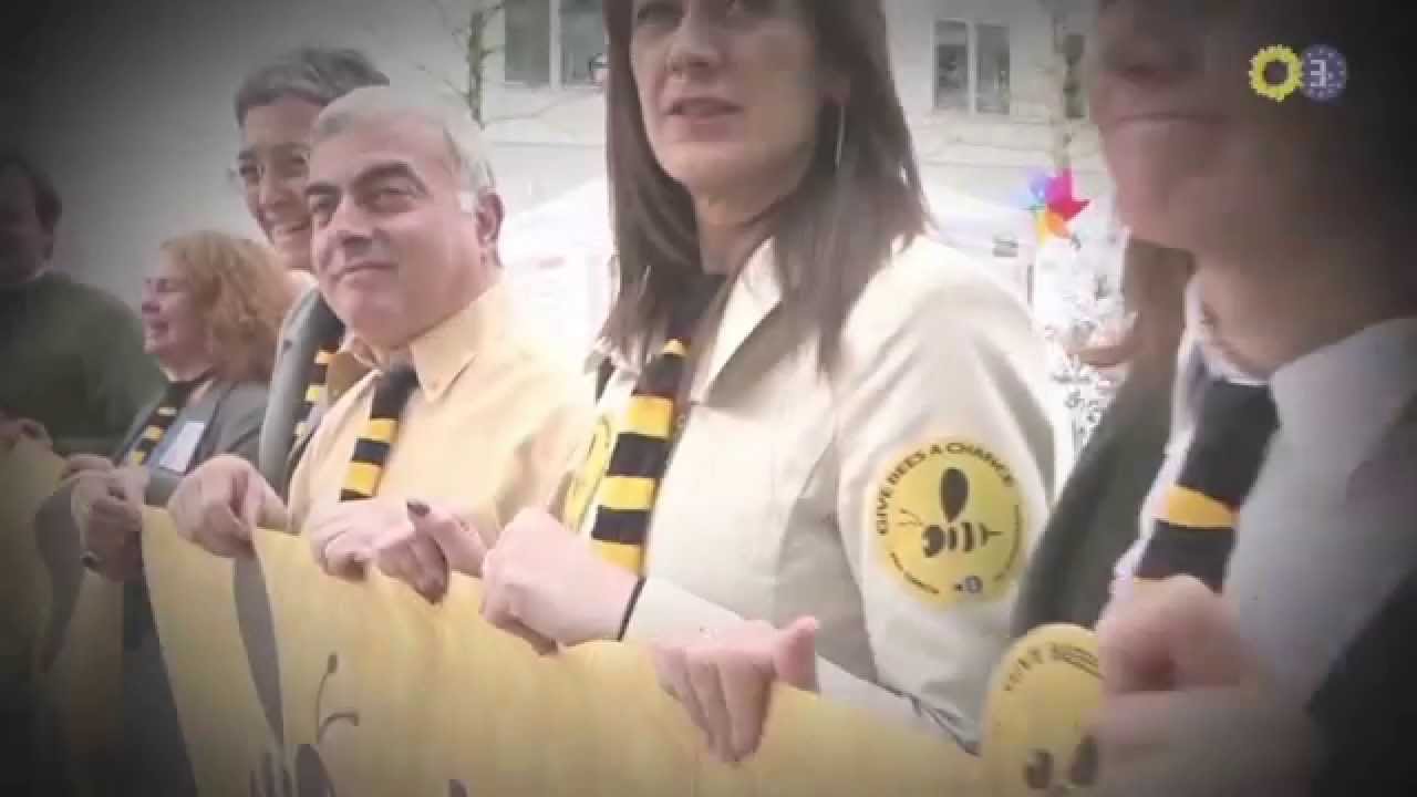 Οι μέλισσες δεν είναι κάτι μικρό. ΠΡΑΣΙΝΟΙ - Αλληλεγγύη Δημιουργία ...