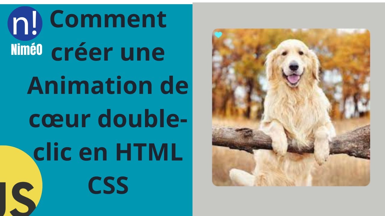 Comment créer une Animation de cœur double-clic en HTML CSS - YouTube