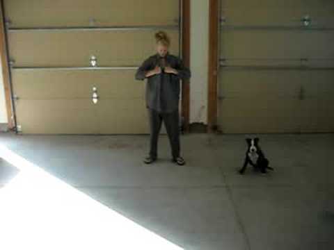 ripping buttons off a shirt. - YouTube