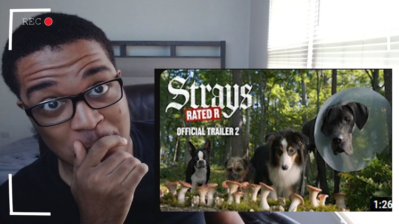 Strays | Official Trailer 2 REACTION! - YouTube