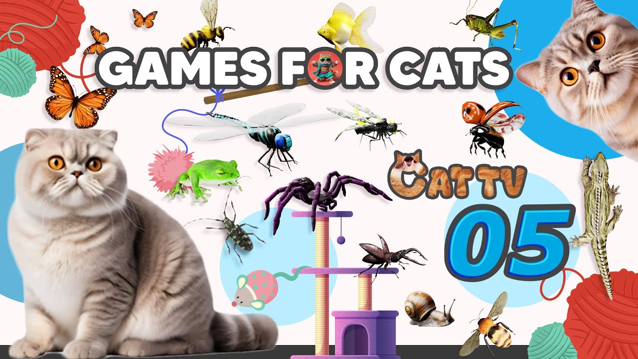 Cat Games | Ultimate Game For Cat Compilation Vol 05 | 5 HOURS 🐭🐝🐞🦋🦎🐜 ...