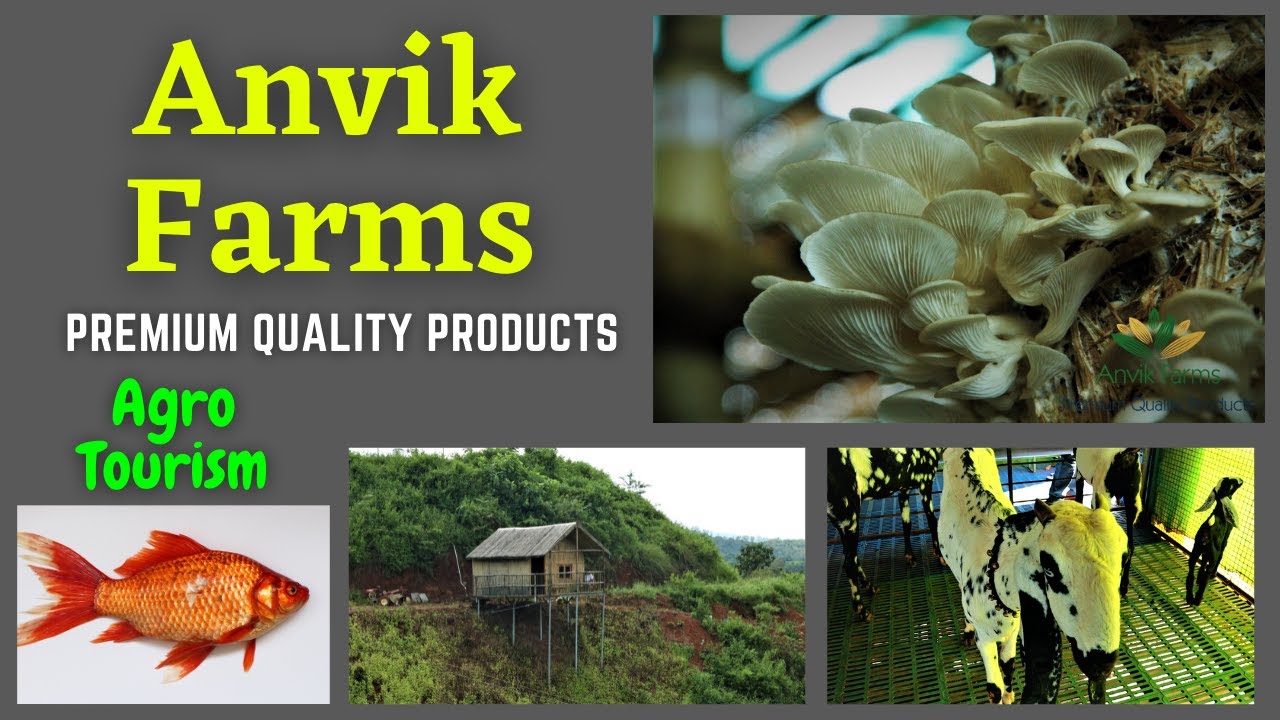 Anvik Farms : Agro Tourism | Top Class Goat Farming | Mushroom Farming ...