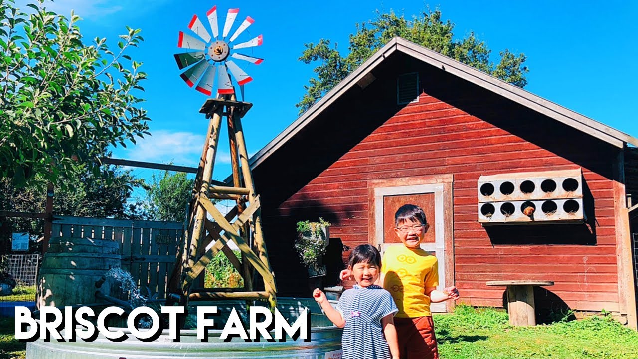 Briscot Farm & Pumpkin Patch / Seattle with Kids / Bouncy Castle / Pet ...