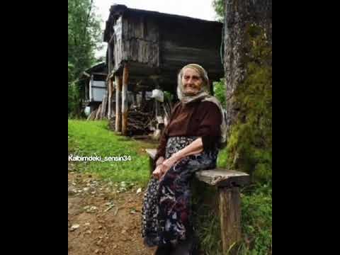 Anne
