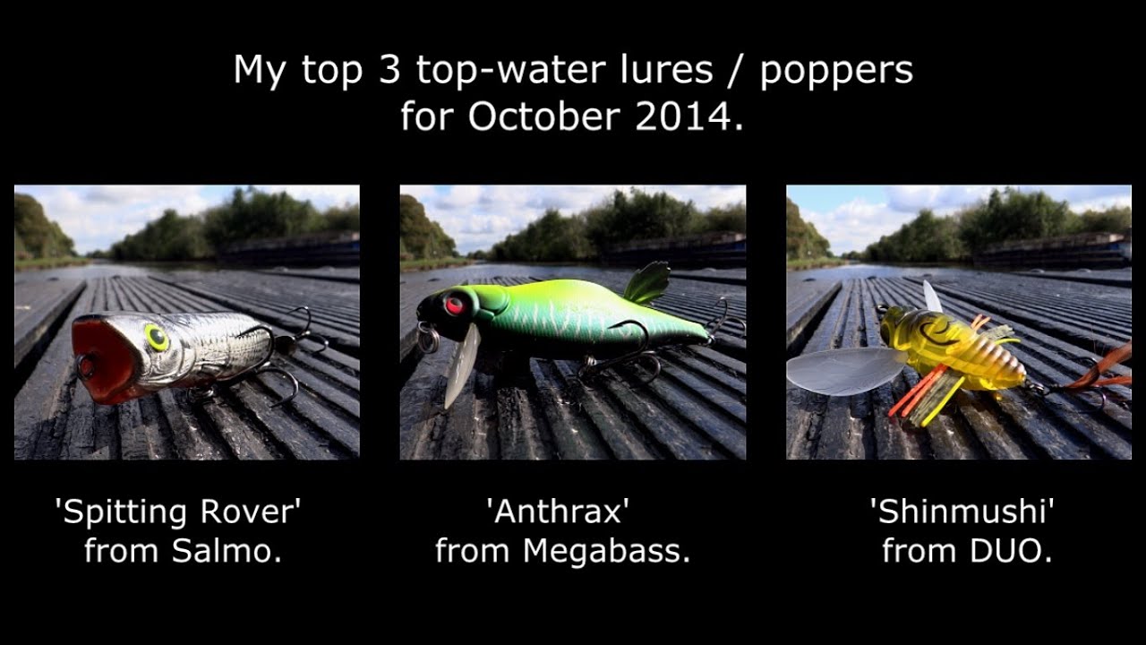 Fishing: my best top 3 surface topwater lures poppers for bass pike ...