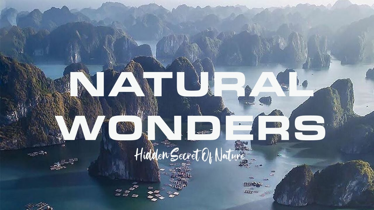 Uncover the Hidden Secrets of Nature - YouTube
