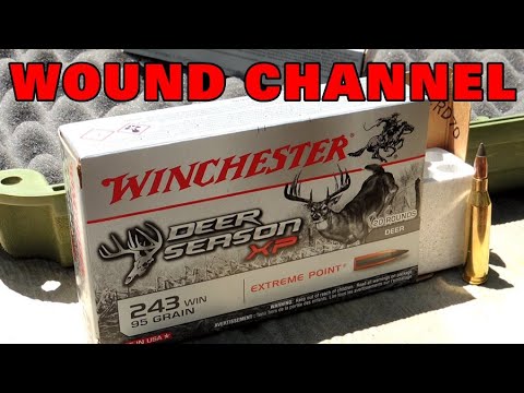 .243 WINCHESTER DEER SEASON XP WOUND CHANNEL - YouTube